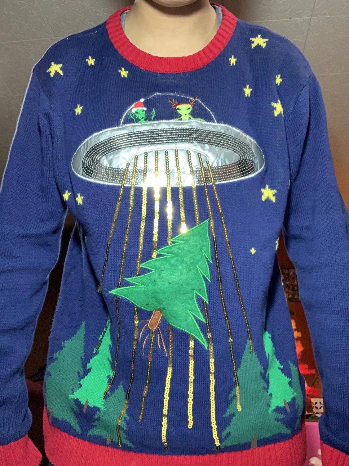 The 2020 Wingspan Ugly Sweater Contest – The Wingspan